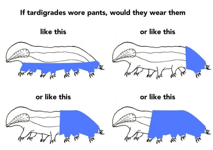 These creatures are tardi-great - 9GAG
