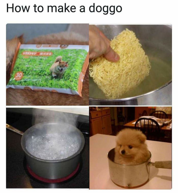 How to make a doggo - 9GAG
