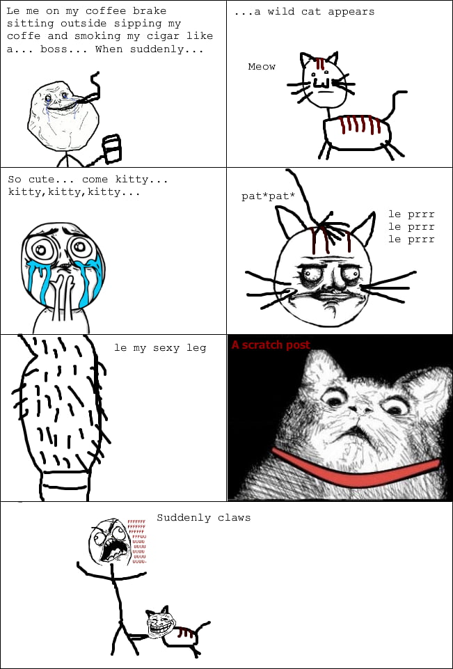Derp & le Cat - 9GAG