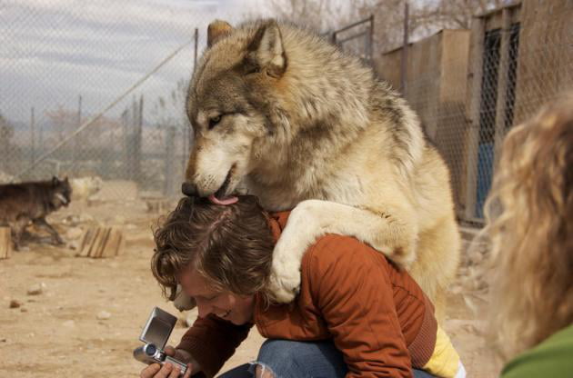 Rare wilderness pupper - 9GAG