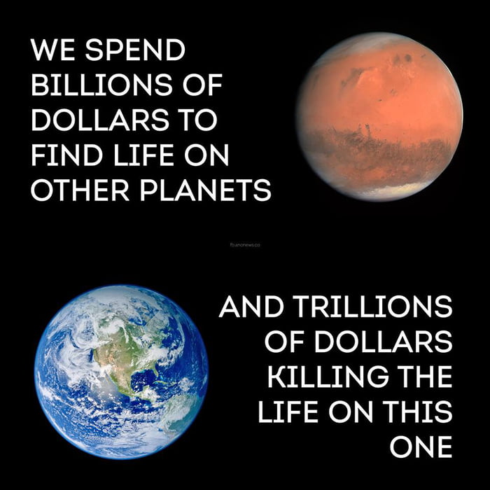 Before you try to find new life, try to understand the value of the one ...