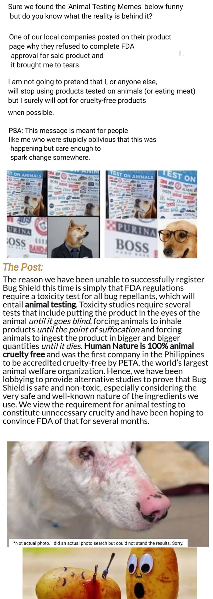 Funny Animal Testing Memes - 9GAG