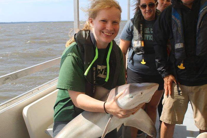 I boop shark snoots for a living, what do you other crazy 9gagers do ...