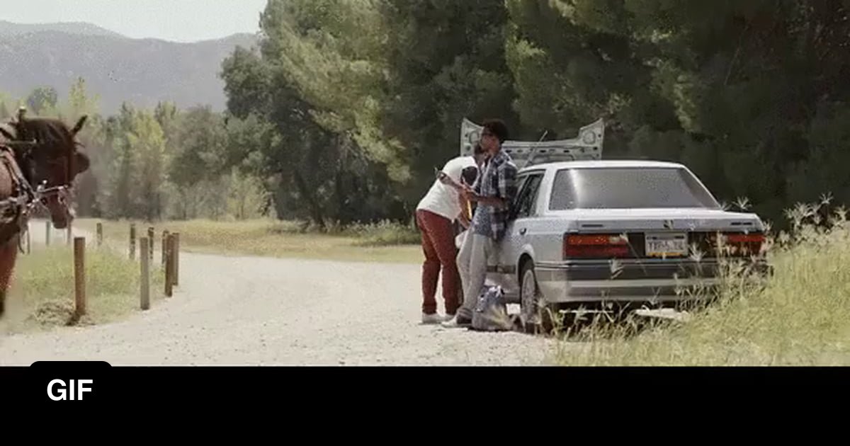 Hitching a ride. - 9GAG