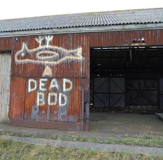 Dead Bod, the most famous piece of art in Hull, UK. Painted by Pongo ...