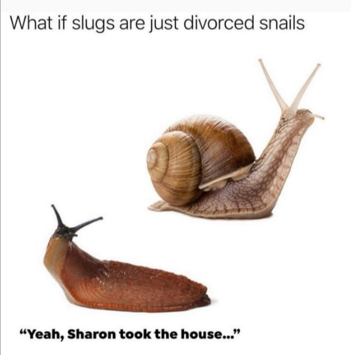 Slug life - 9GAG