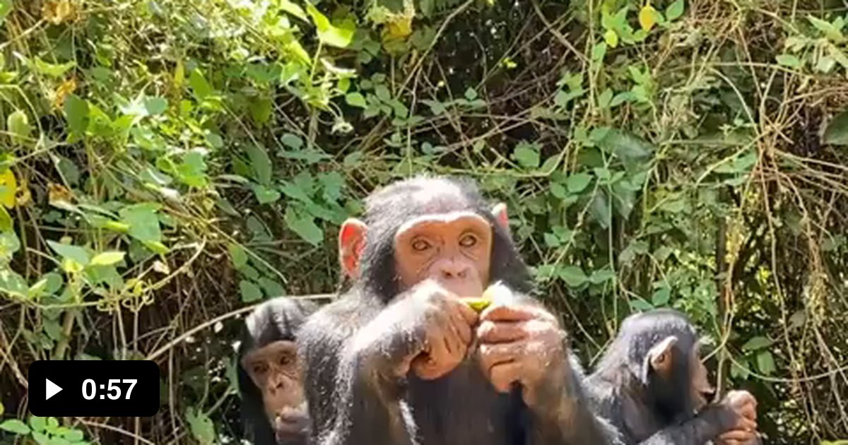 There’s always that one goofball in the group - 9GAG