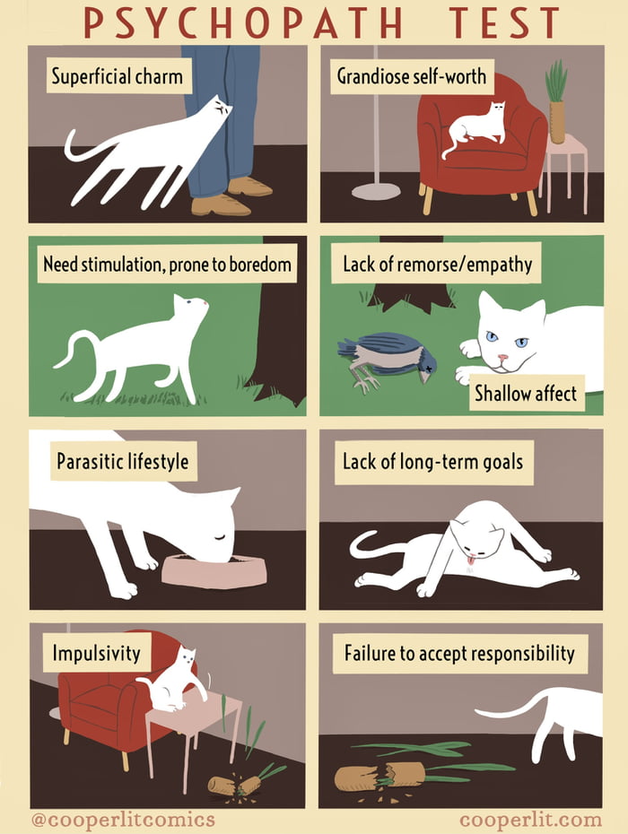 Psychopath Test - 9GAG