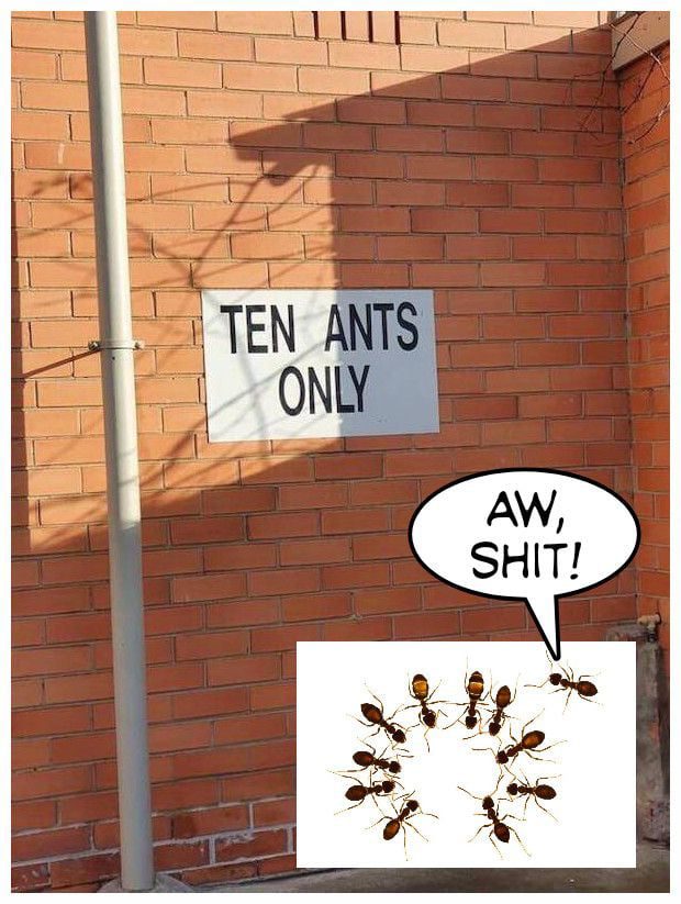 Ant Discrimination alive and well... - 9GAG