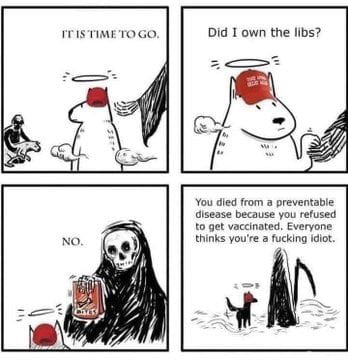 Owning the libs. - 9GAG