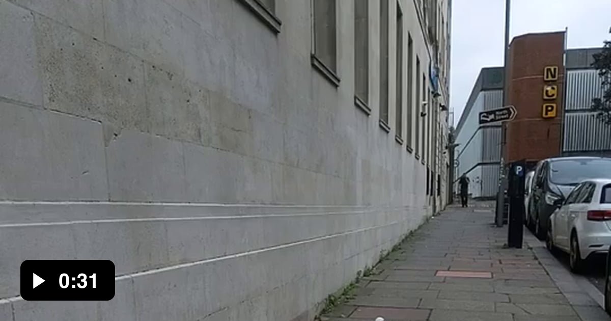 Absolutely savage scenes on the walk into work this morning. Poor bastard wasn't even dead yet ...