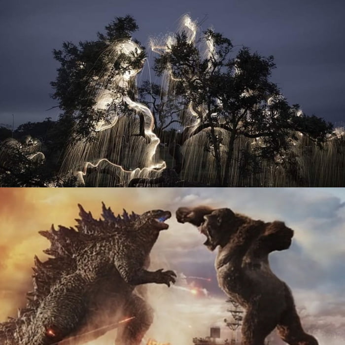 Fireflies on trees looks like Godzilla vs Kong! Photo credit: Vitor ...