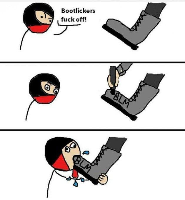 BLM bootlicking even after exposure of wealth and manipulation - 9GAG