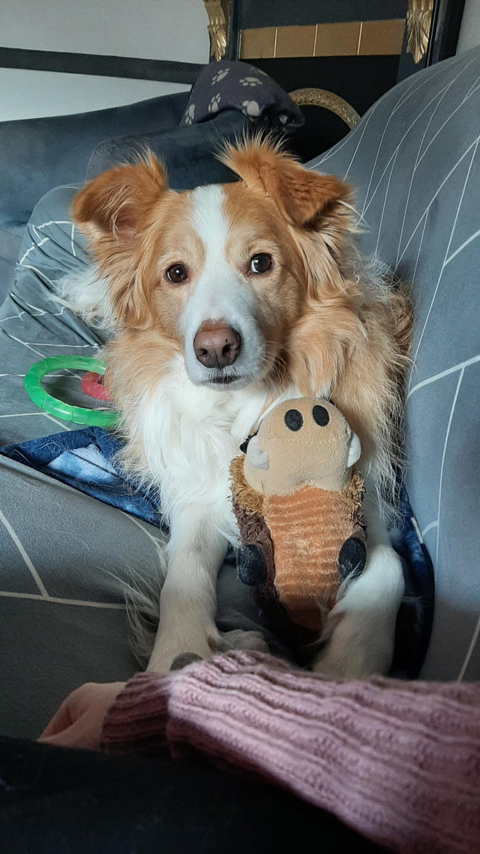 Cubba and his Poombie - 9GAG