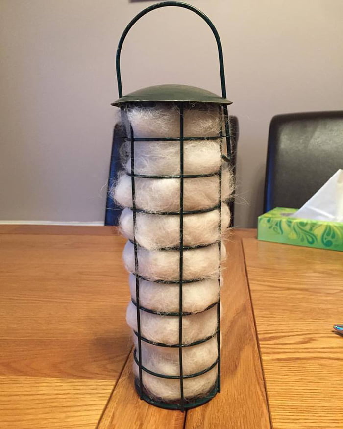Collect brushed fur of your pets into a bag and put it into a bird ...