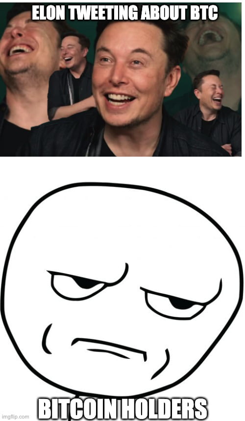 Everyone watching BTC crash after Elon Tweet - 9GAG