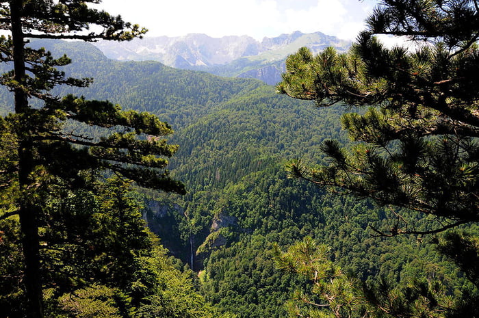 The last rainforest in Europe. Perućica, Bosnia and Herzegovina. - 9GAG