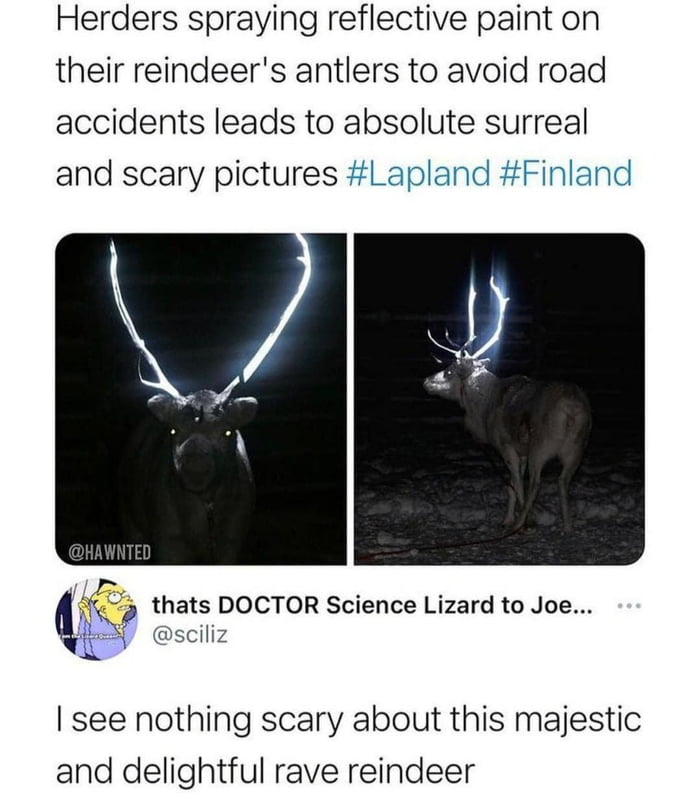 Rave Deer, Majestic Saint of Roadways - 9GAG