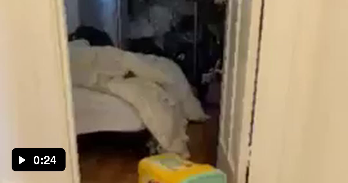 Steve Holt knocked over his empty litter bucket to sit in it - 9GAG