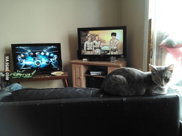 Multi-task. Valentines well spent - 9GAG