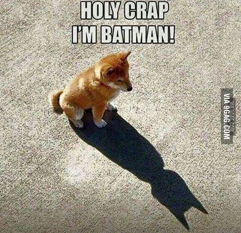 Holy Crap! I'm Batman! - 9GAG