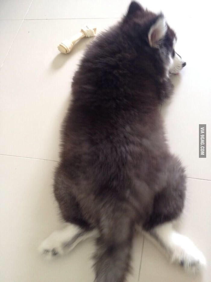 Is this normal? - 9GAG