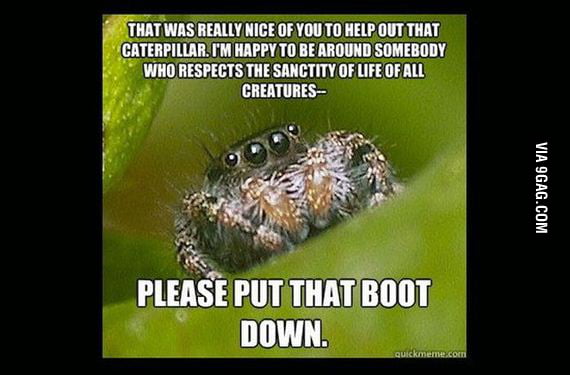Misunderstood spider meme - 9GAG