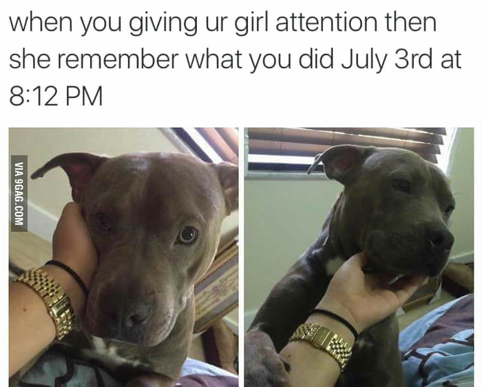 I'm so sorry! - 9GAG