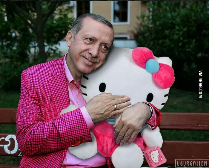 Erdogan's Love Hello Kitty - 9GAG