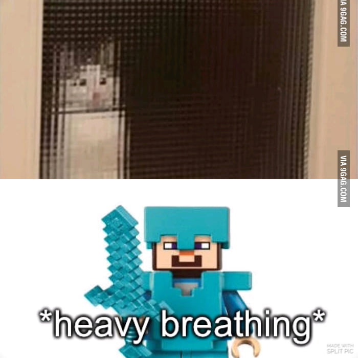 Low res cat. - 9GAG