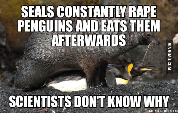 I have a newfound fear for seals - 9GAG