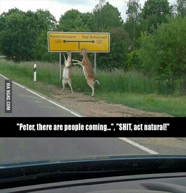 Act natural - 9GAG
