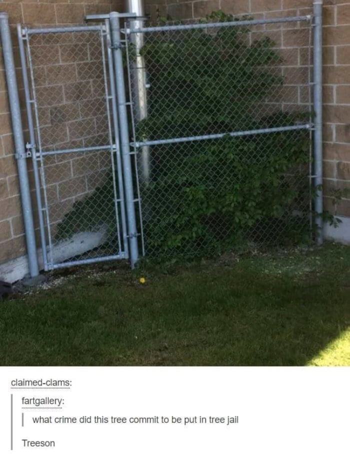 Meme Dump #16 - 9GAG