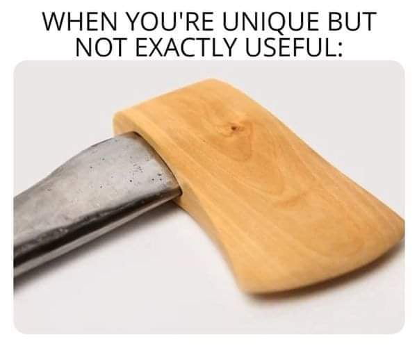 Why would I want to be normal? - 9GAG