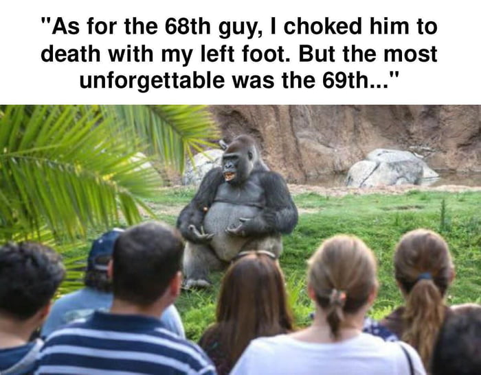 Tell us about the 69th, wise gorilla - 9GAG