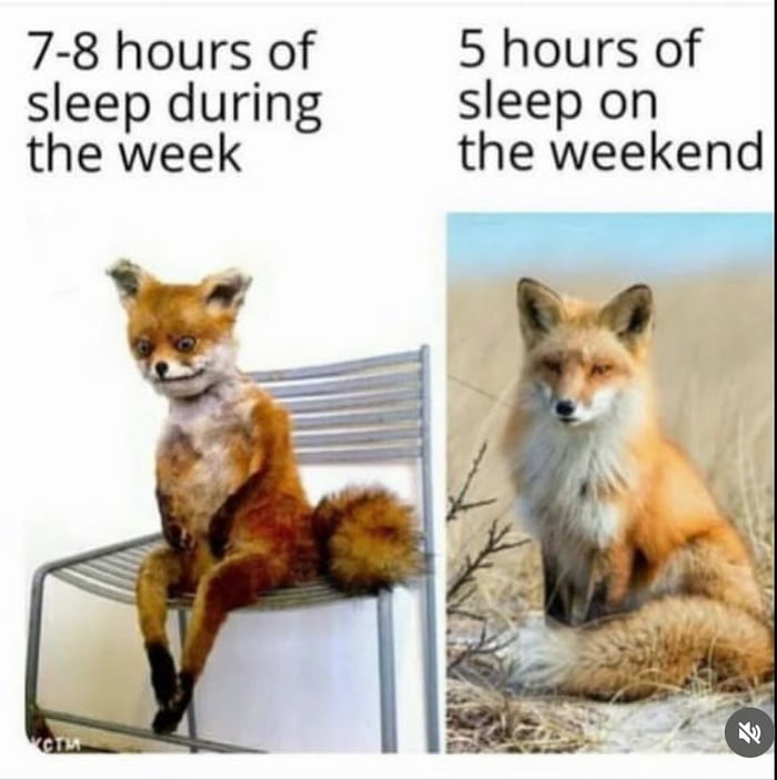 Why does less sleep on the weekend feel better than more sleep during the week? - 9GAG