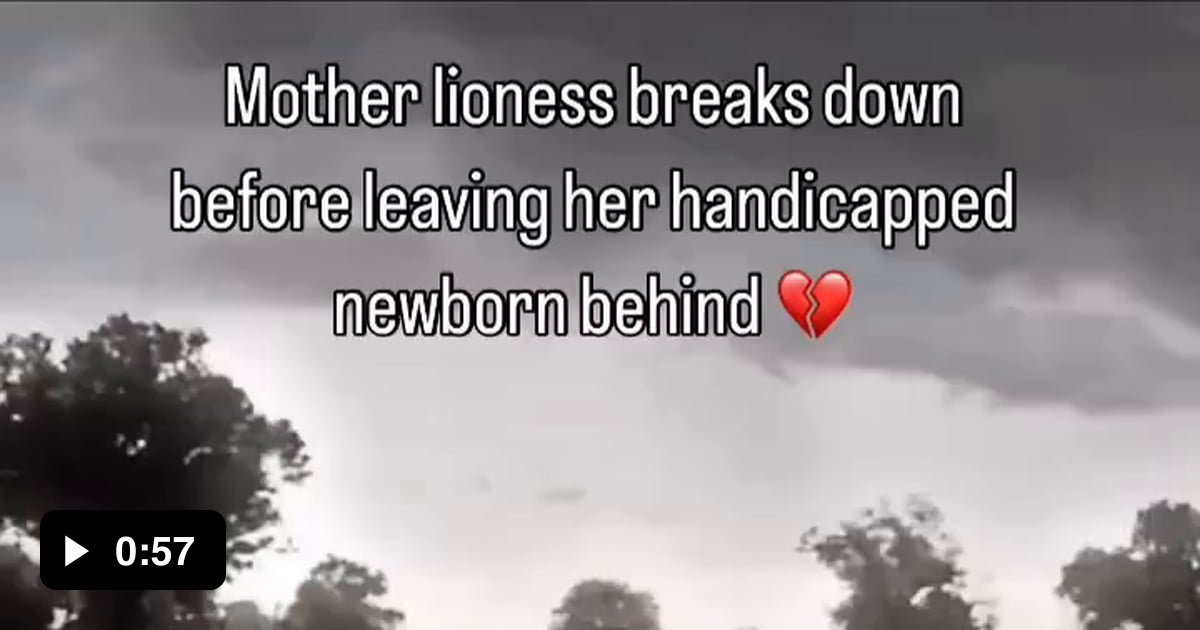 To people who think animals have no feelings - 9GAG