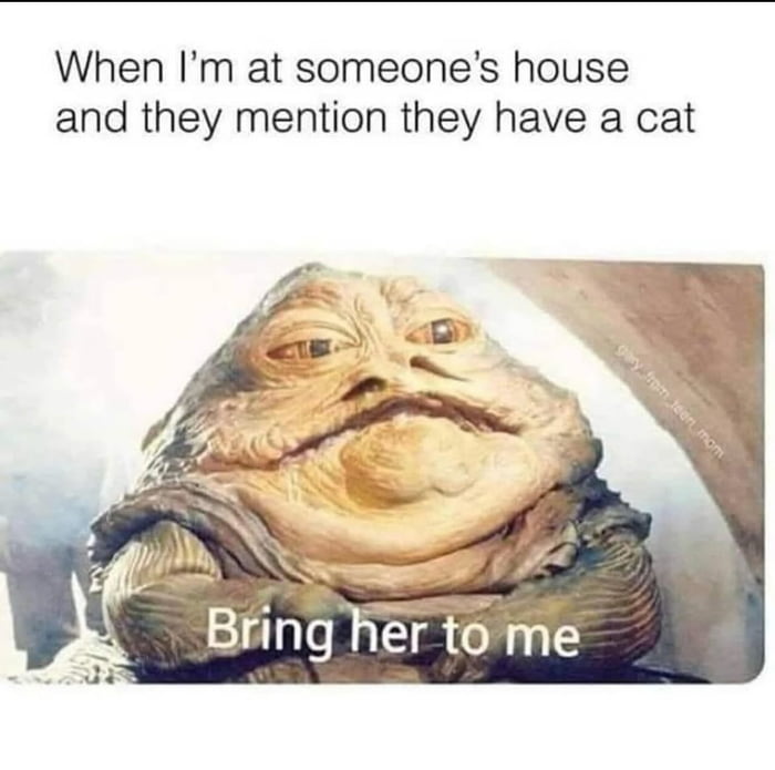 The only reason I visit people - 9GAG