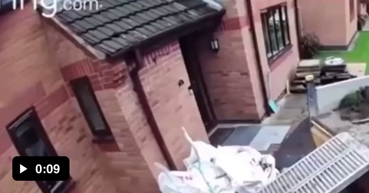 Gravity always wins - 9GAG