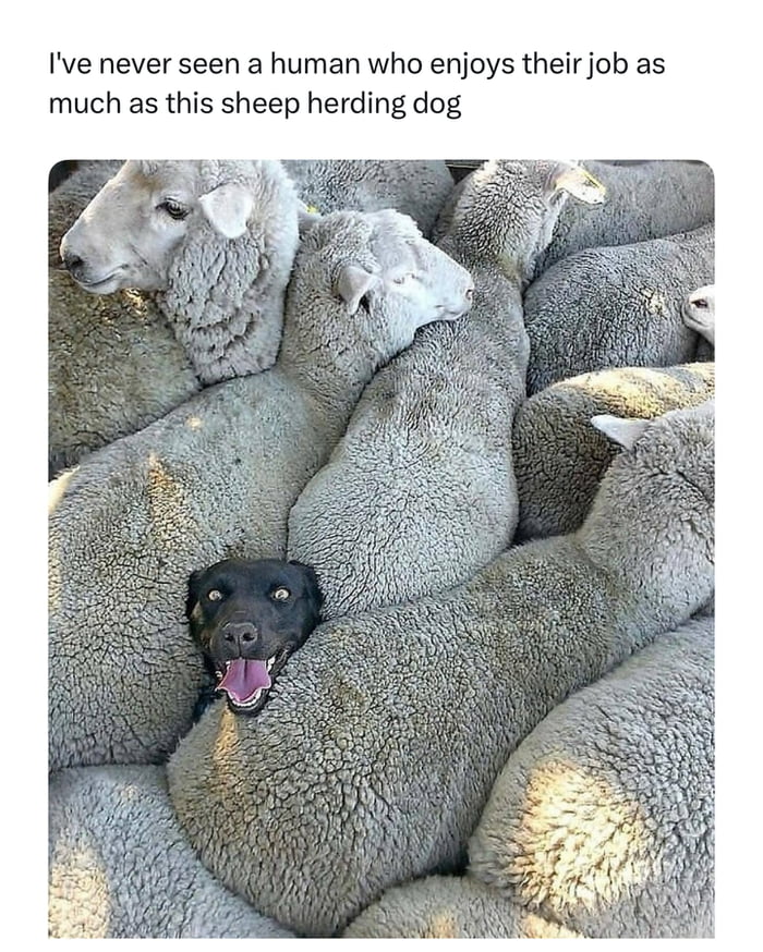 When your job and your nap are the same thing - 9GAG