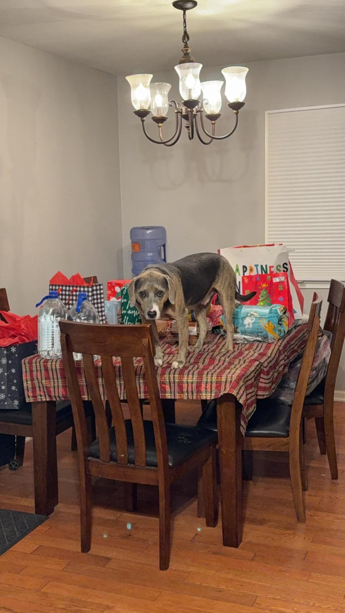 Just checking the gift inventory. - 9GAG