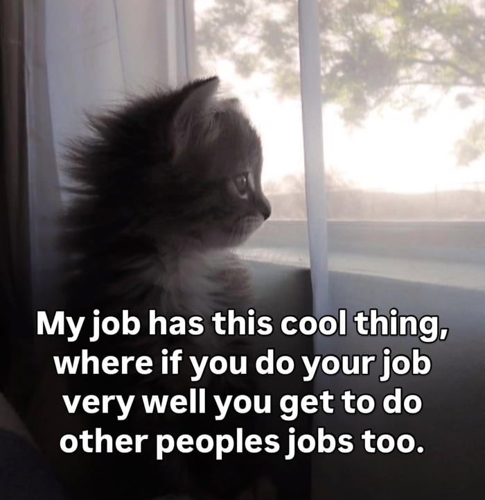 The ultimate reward for efficiency. - 9GAG