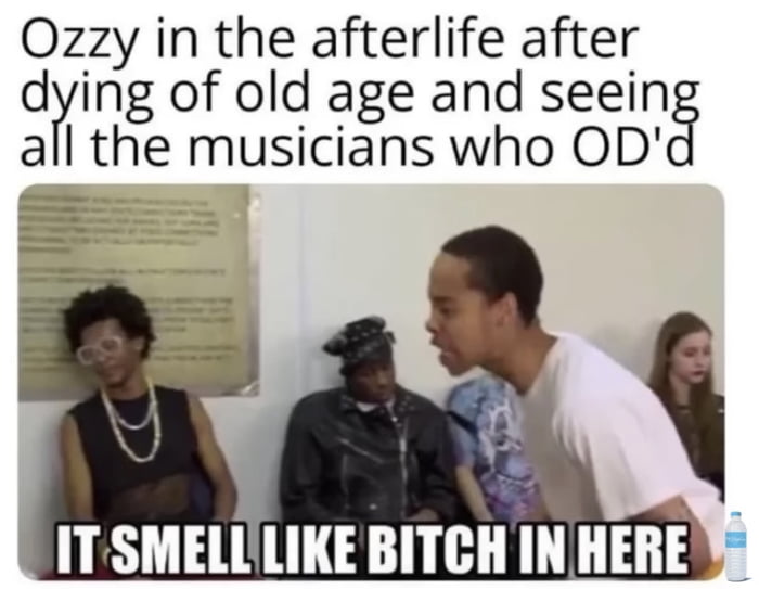 Snorting ants by the poolside. - 9GAG