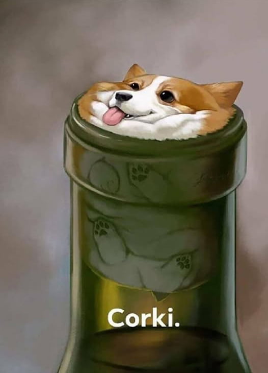 I found this mildly amusing picture, growing up my Neighbor had a Corgi named Corki... - 9GAG