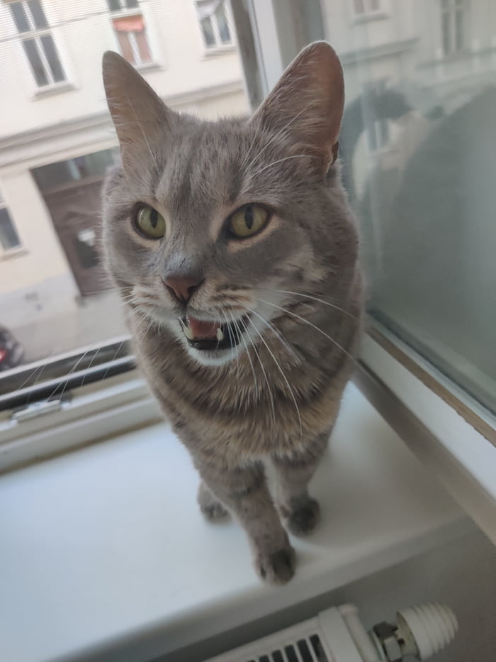 Baby!the best friend I've ever had in my life.Never been so close to anyone. I trust her - she ...