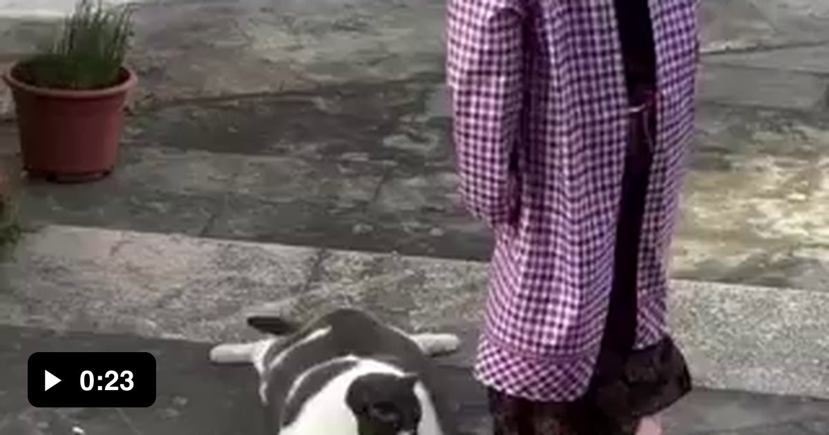 Absolute unit - 9GAG