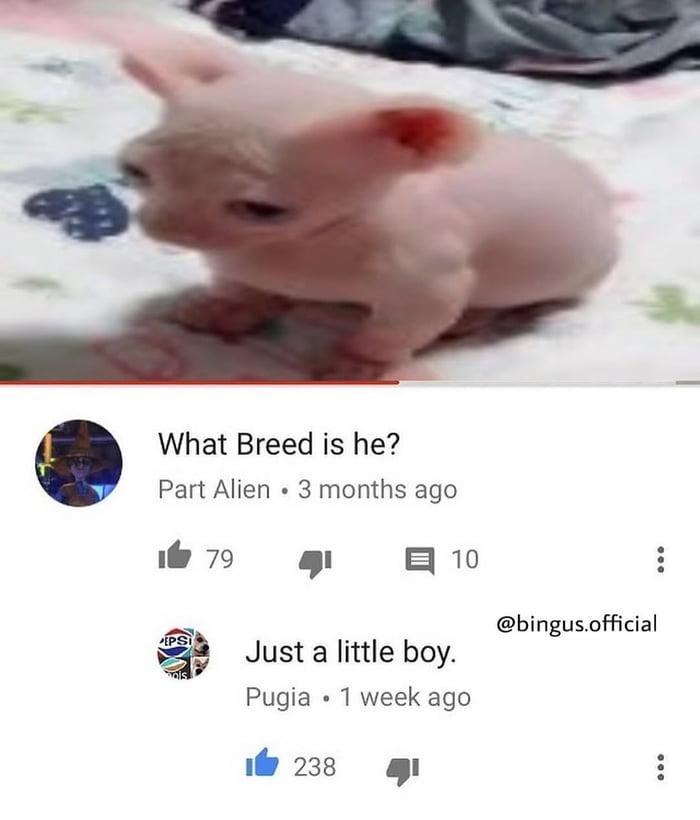 Just a little boy. - 9GAG