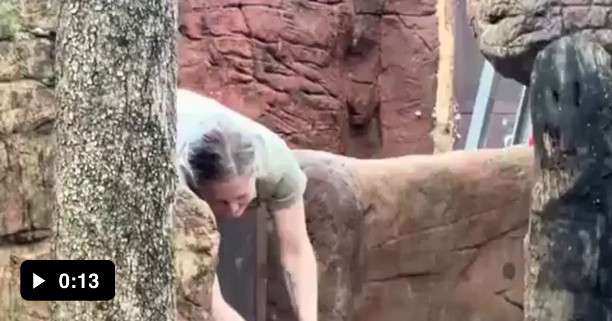 Absolute unit - 9GAG