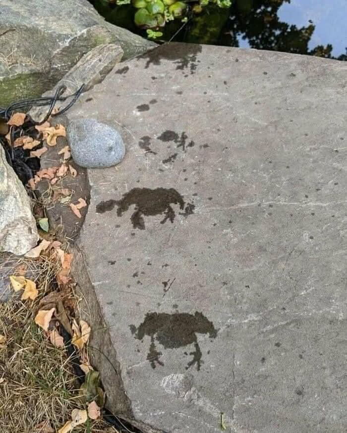 It's Wednesday my dudes (GMT+8) - 9GAG