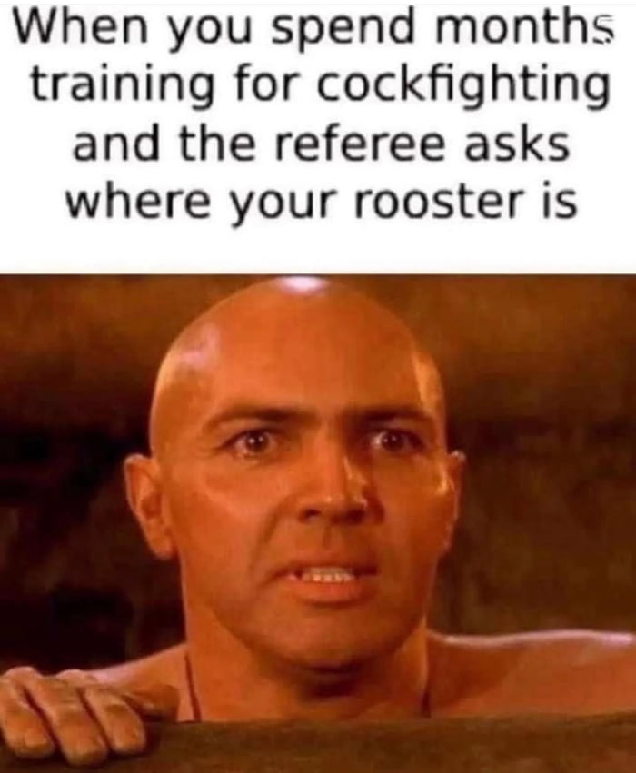 Got tired of all this political stuff here. post memes in comments to ...